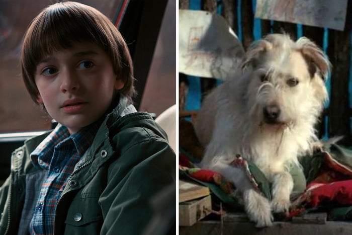 What happened to chester the dog after season 1? literally just ...