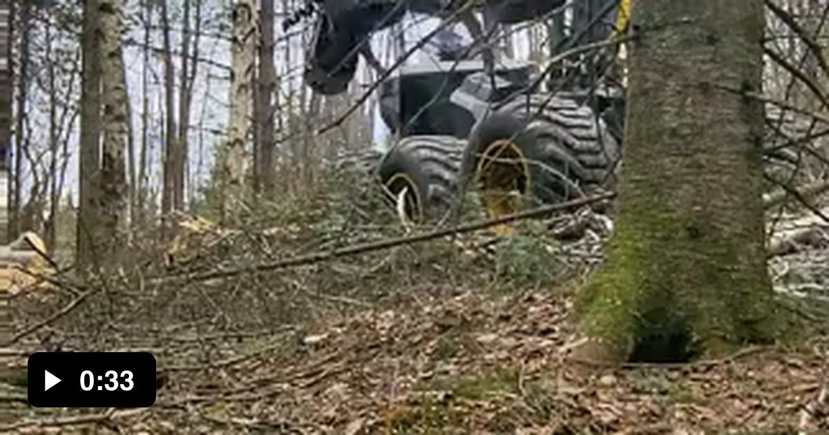 Taking down a tree in 30 seconds - 9GAG