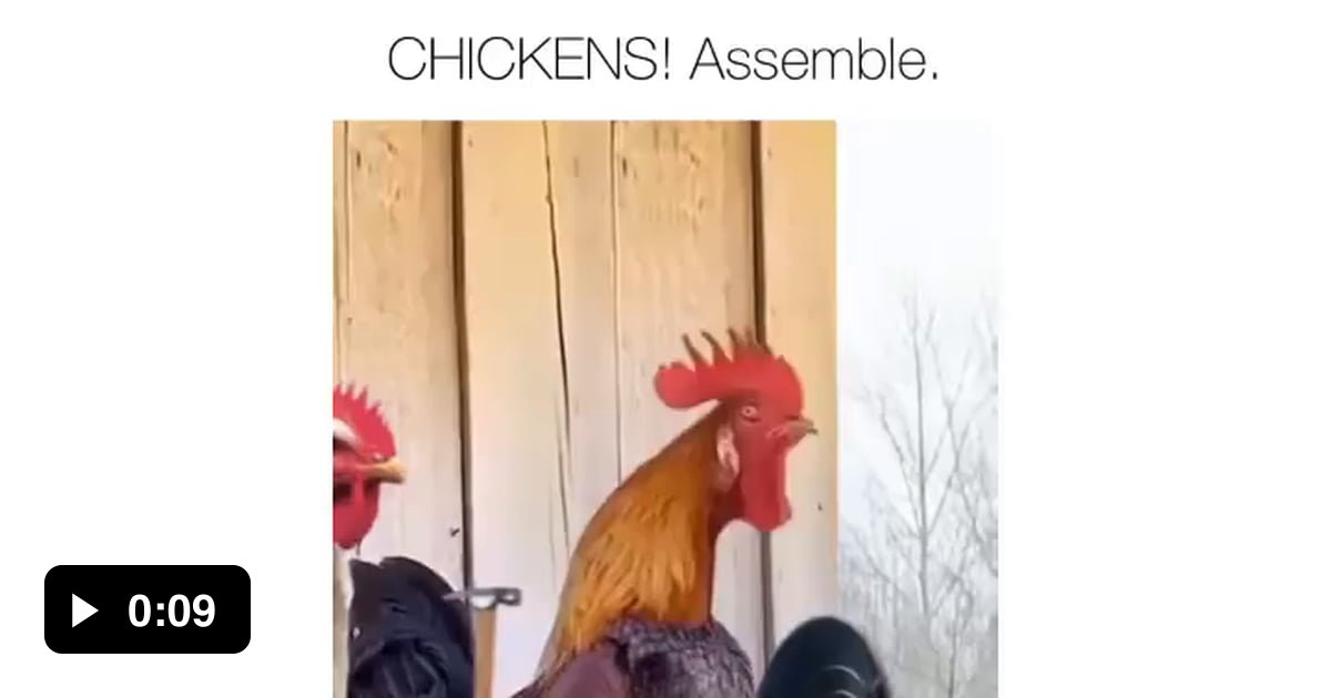 Avengers: Chicken noodle - 9GAG