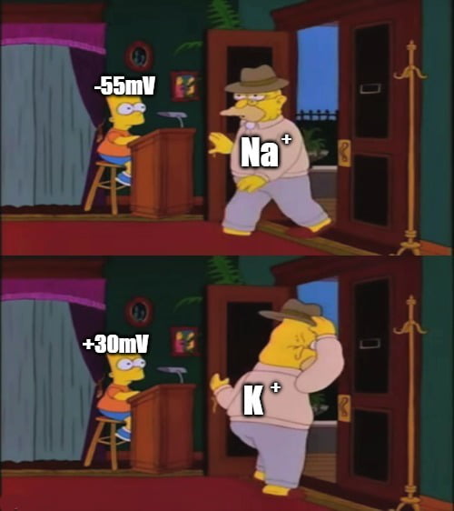 Ions be like... - 9GAG