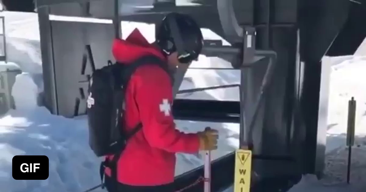 Avalanche doggos are the best doggos. - 9GAG