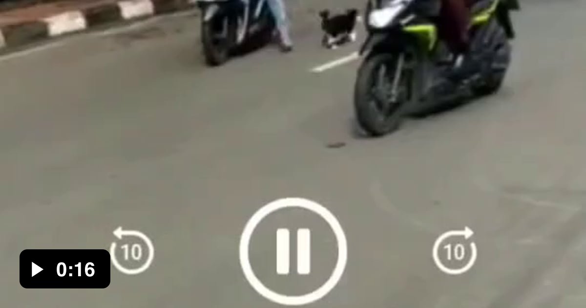 Uwu police tidak ramah - 9GAG