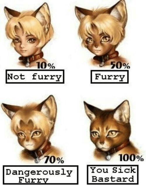 Furry Meter.. - 9GAG