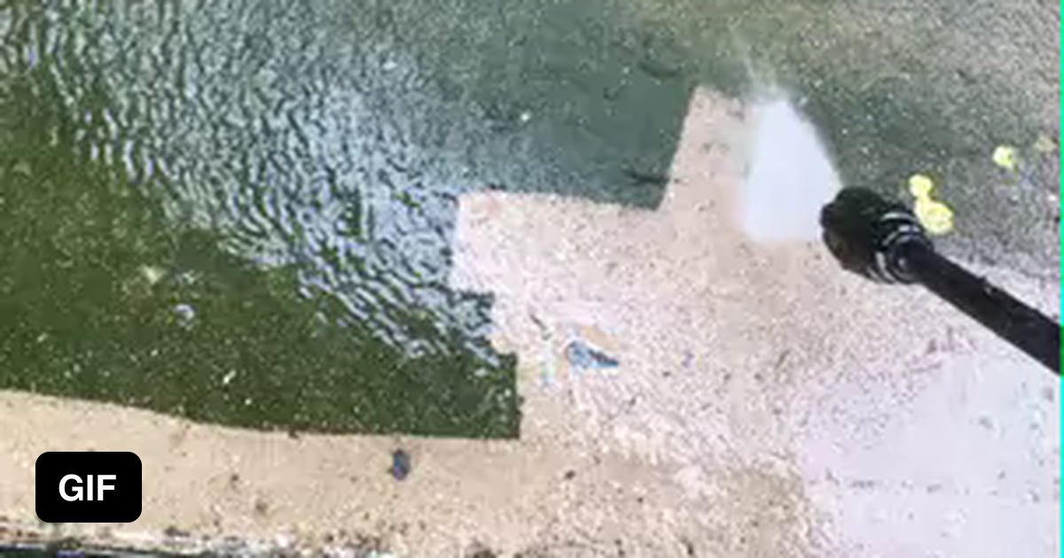 Serious moss removal - 9GAG