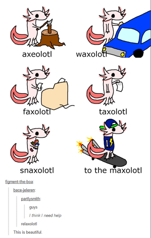 Funny Axolotl Memes