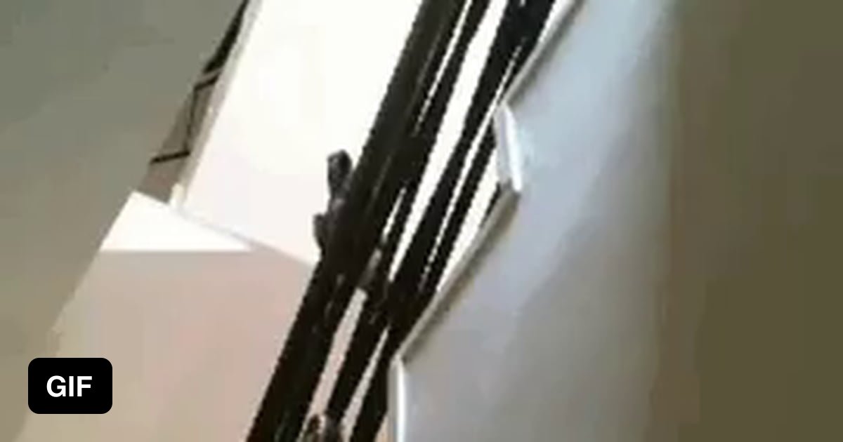 Yo dawgs... sup? - 9GAG