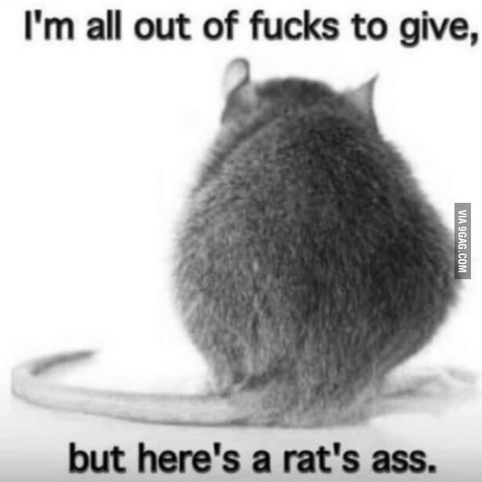 Out of f**ks, here's a rat's ass. - 9GAG