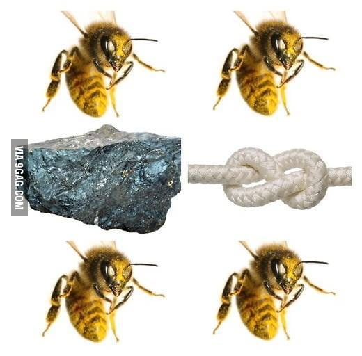 2 bee ore knot 2 bee - 9GAG