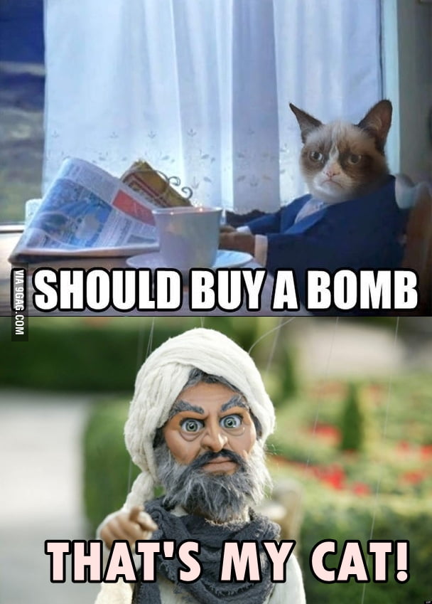 That's my cat. - 9GAG