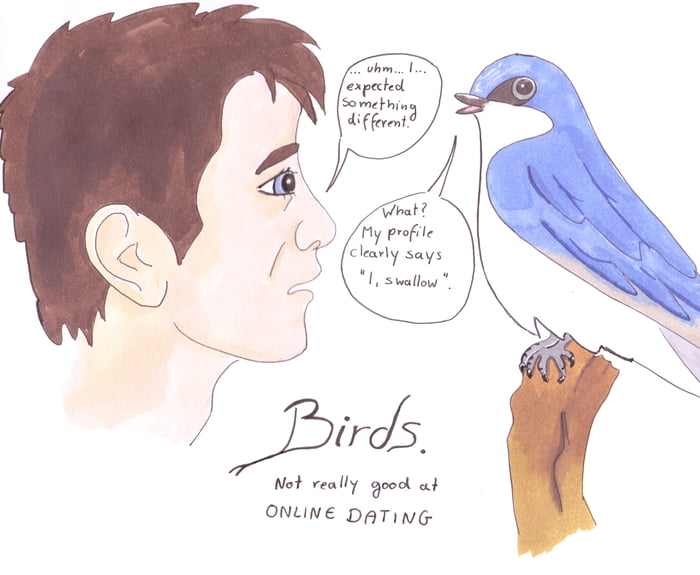 Birds and Online Dates - 9GAG
