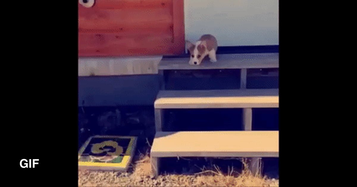 Damn it Larry - 9GAG