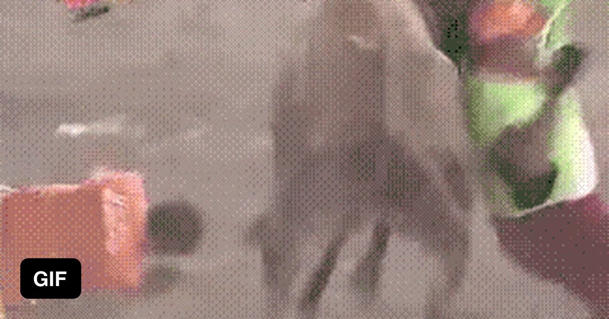 You mess with the bull you get the balls - 9GAG