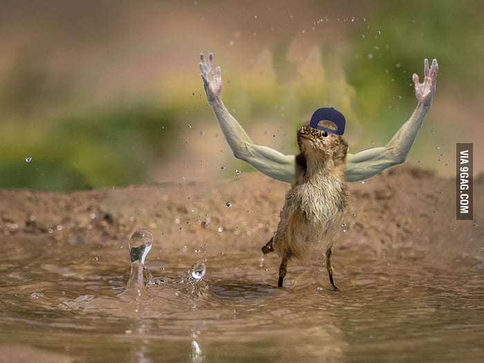 U fokin wot m8? - 9GAG