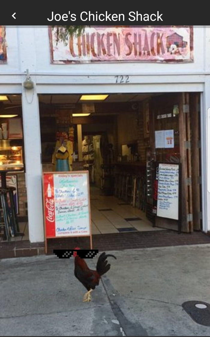 Thug life chicken - 9GAG