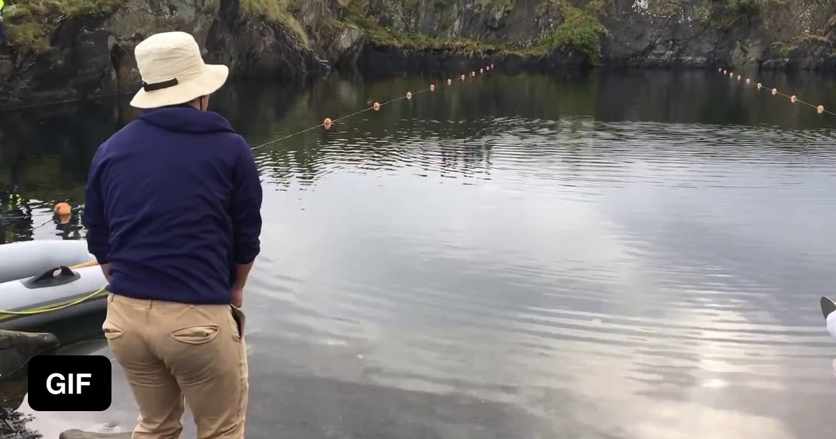 Perfect rock skipping technique. - 9GAG