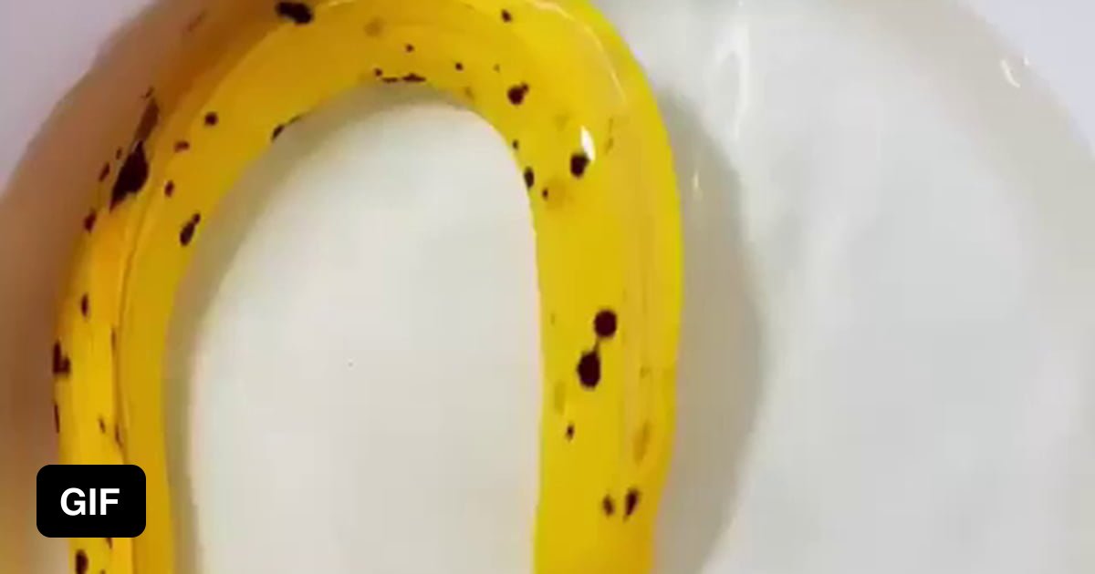 The swimming banana - 9GAG