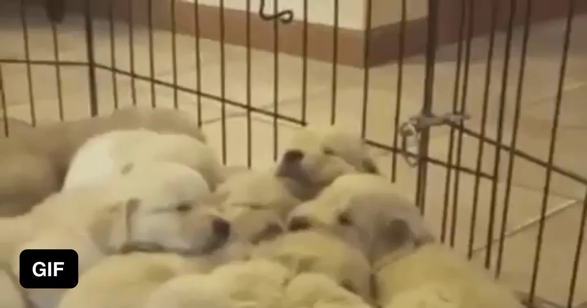 There’s always room for another. - 9GAG