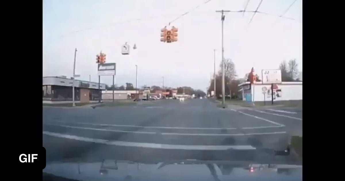 Lightning strikes pigeon mid air - 9GAG