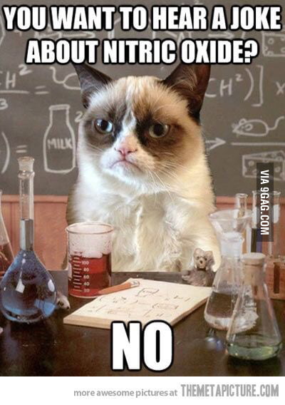 Grumpy cat visits the chemistry lab.. - 9GAG