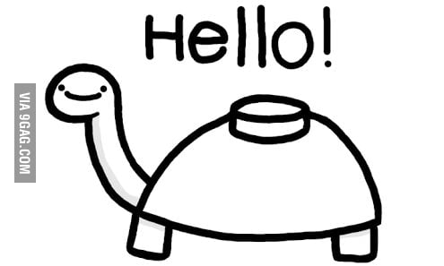 Hello mine turtle - 9GAG
