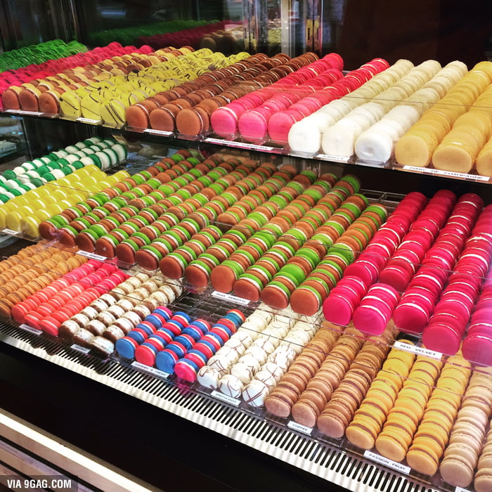 Macaroons in Amsterdam - 9GAG