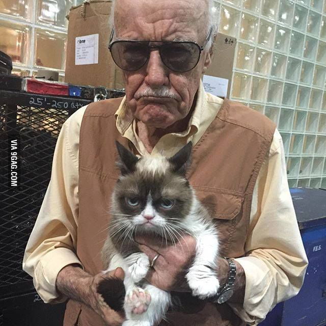 Stan Lee and Grumpy Cat - 9GAG