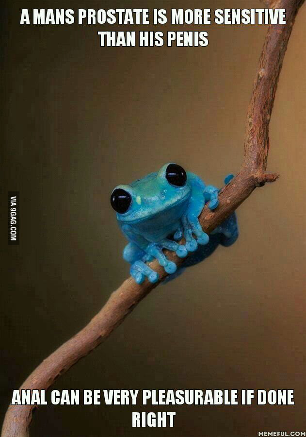 Bend over boys. I like pegging! - 9GAG