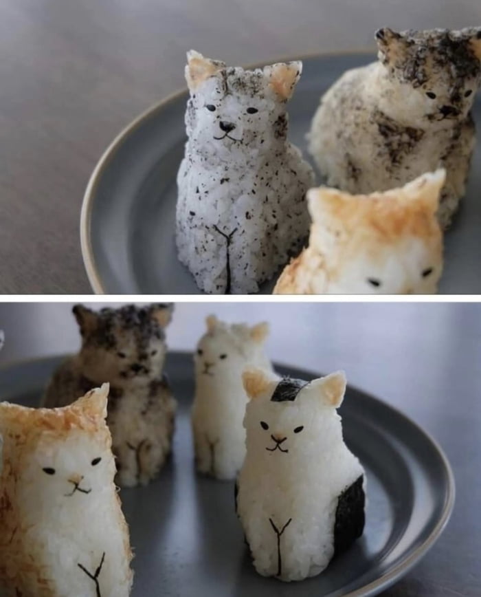 These onigiri (rice balls) perfectly shaped like cats - 9GAG
