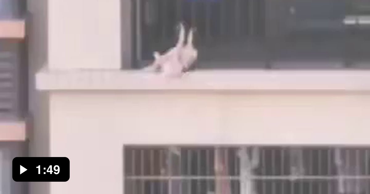 Man scales building to save child dangling from a balcony. - 9GAG