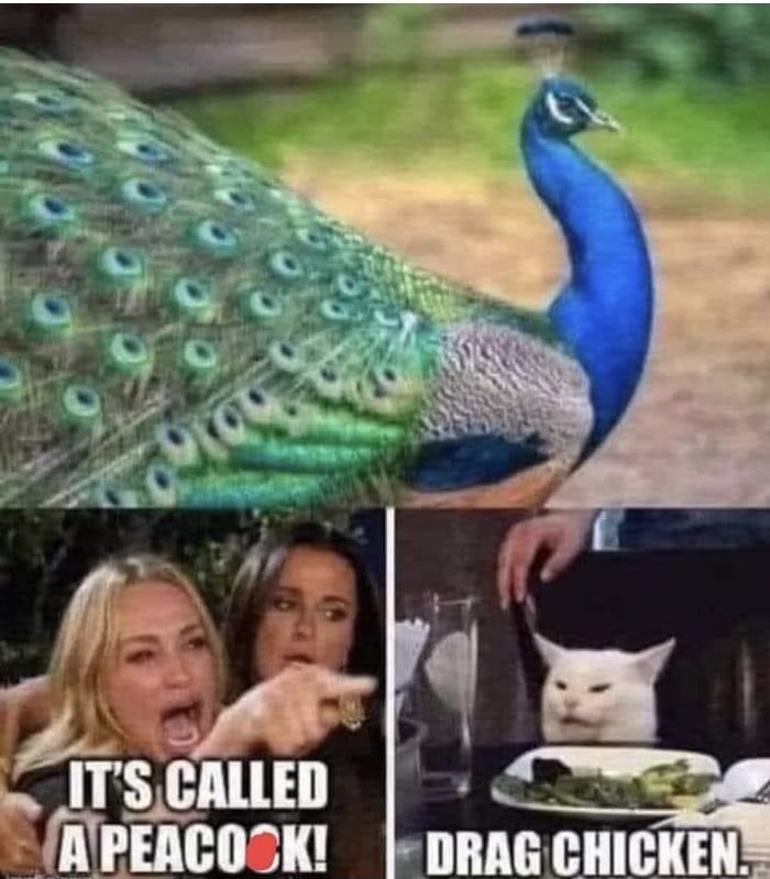 Drag Chicken - 9GAG