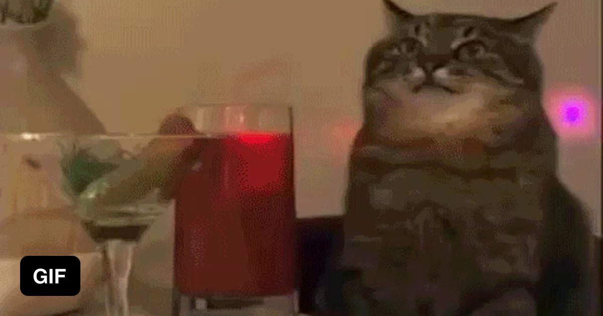 Introvert at a party - 9GAG