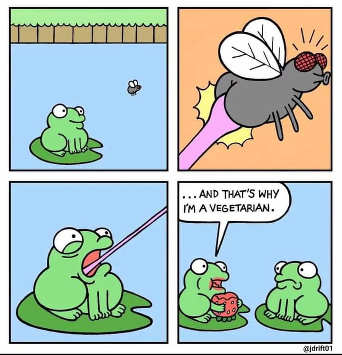 Vegan frog - 9GAG