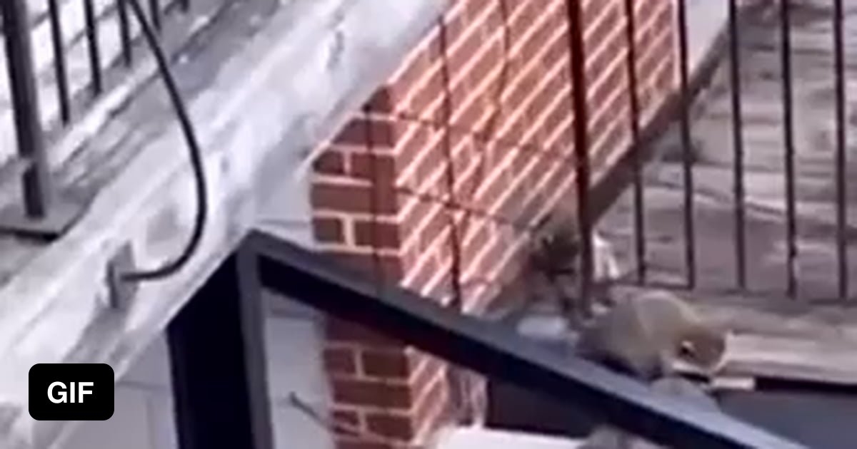 Wait till ya see this guys, Weeee - 9GAG