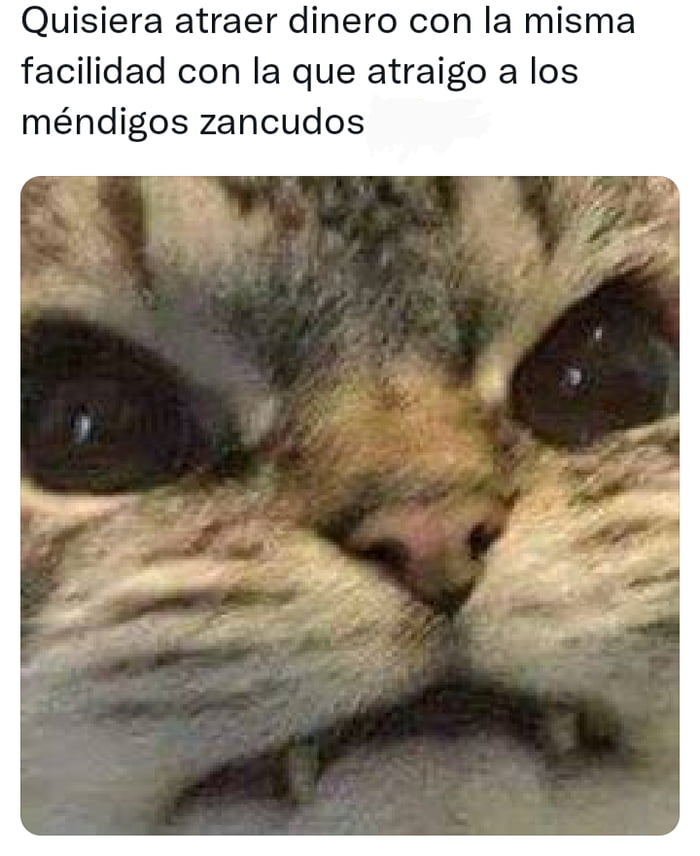 Mugrosos chupasangre. - 9GAG