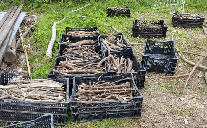 To all the people saying that don’t have a stick: give me your address ...