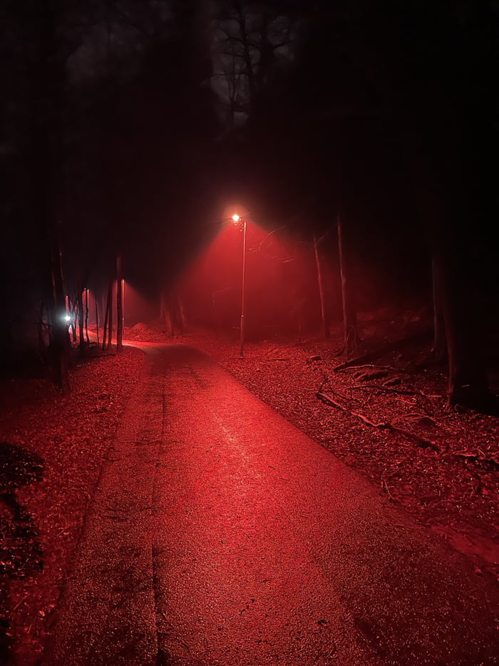 These lights are red so they don’t disturb bats. - 9GAG