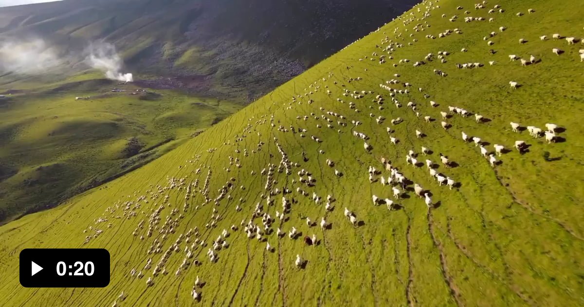 Sheep trails on the hills of the Greater Caucasus mountain range - 9GAG