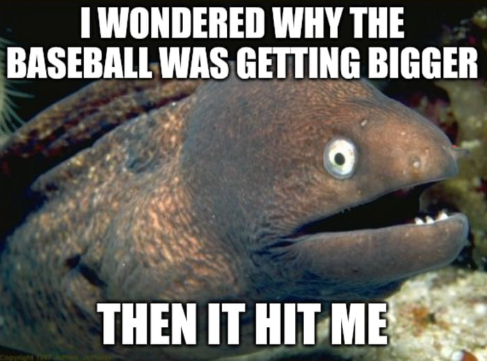 I miss the bad joke eel memes - 9GAG