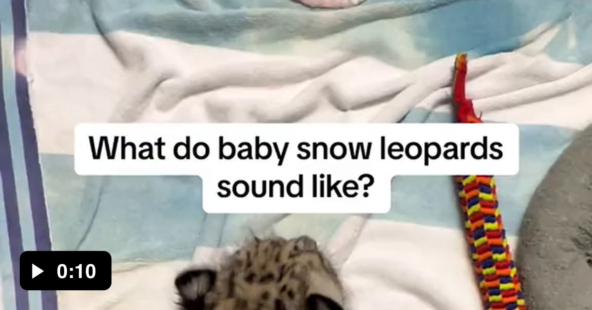 Adorable 9gag