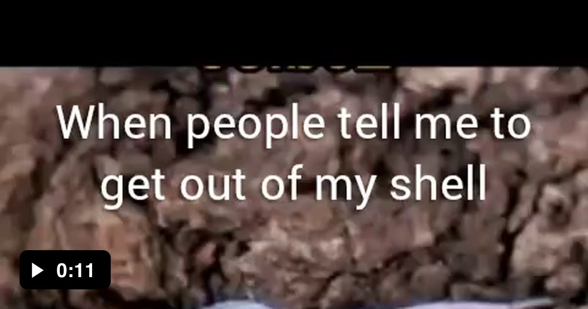 When people tell me to get out of my shell - 9GAG