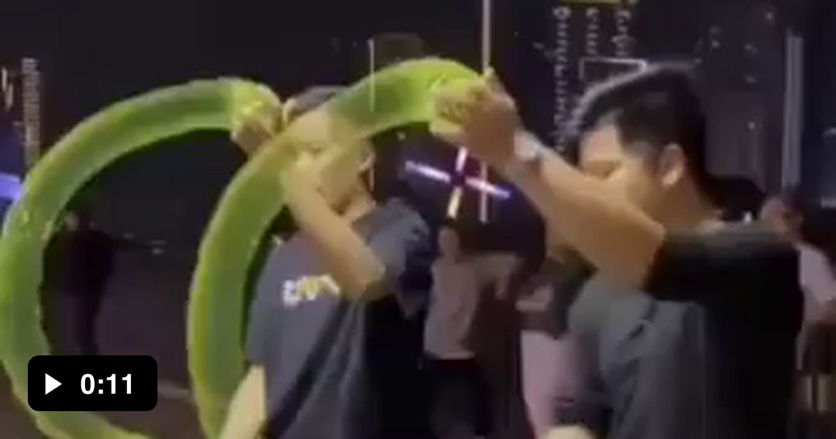 This slinky duo's performance - 9GAG