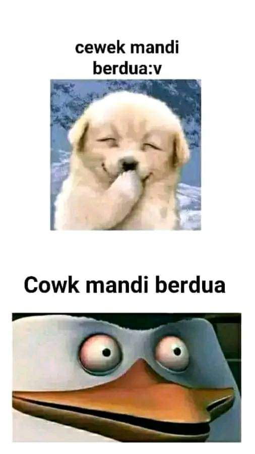 Not The Same 9gag