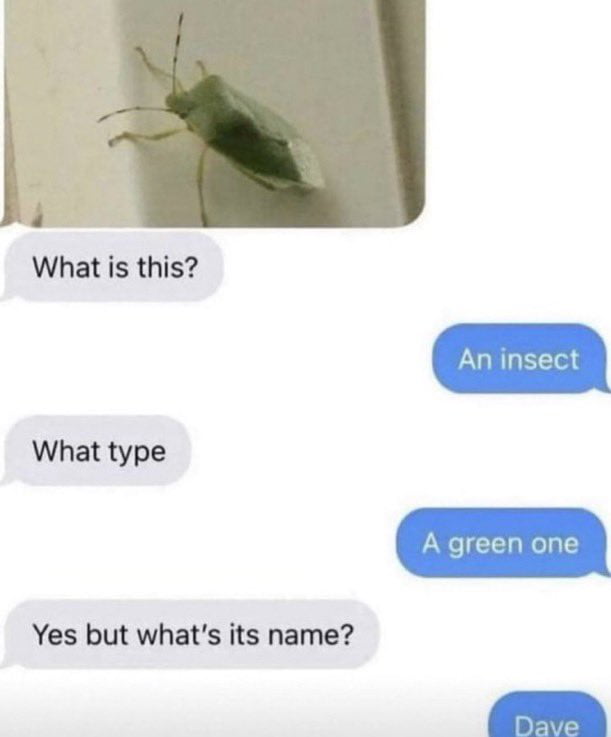 Clearly a Jake, but I digress - 9GAG