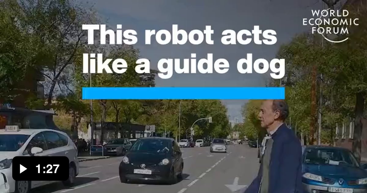 Meet Tefi, the AI-Powered Guide Dog Robot! - 9GAG