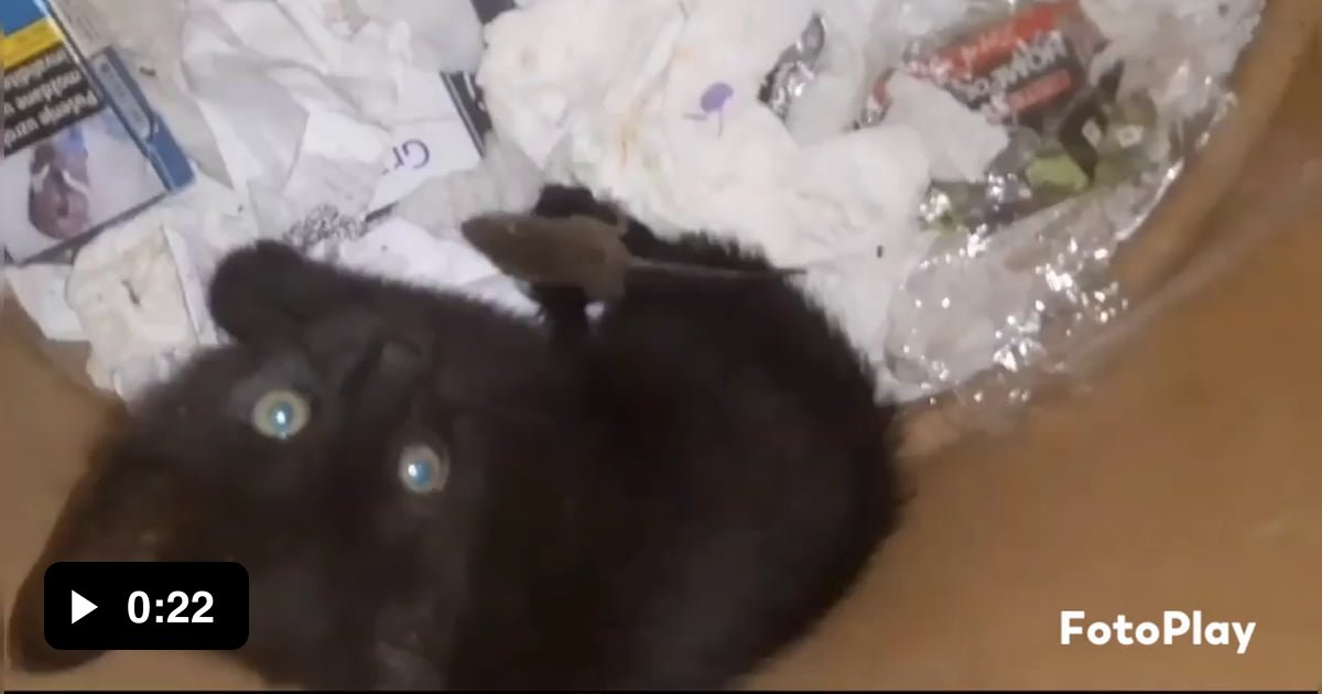 Looks like he's not going to be very useful - 9GAG