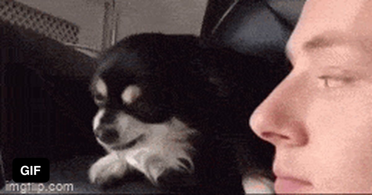 I Lick You 9gag