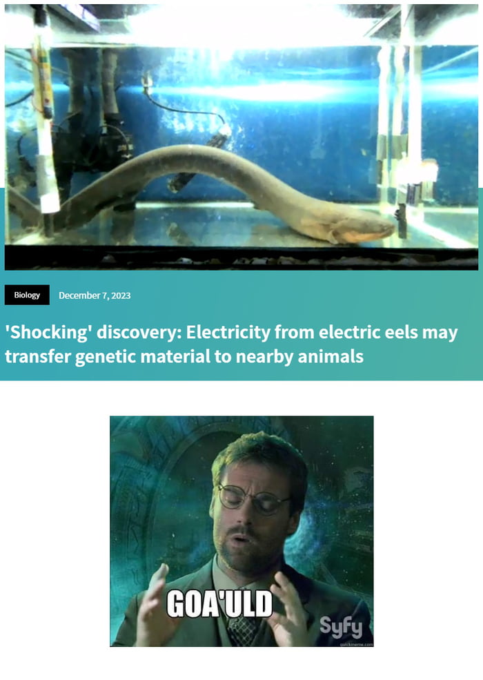 I'm not saying it was Goa'uld but it was Goa'uld - 9GAG