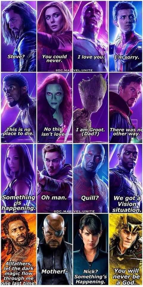 The Avengers' last words on “Avengers III: Infinity War” (2018). - 9GAG