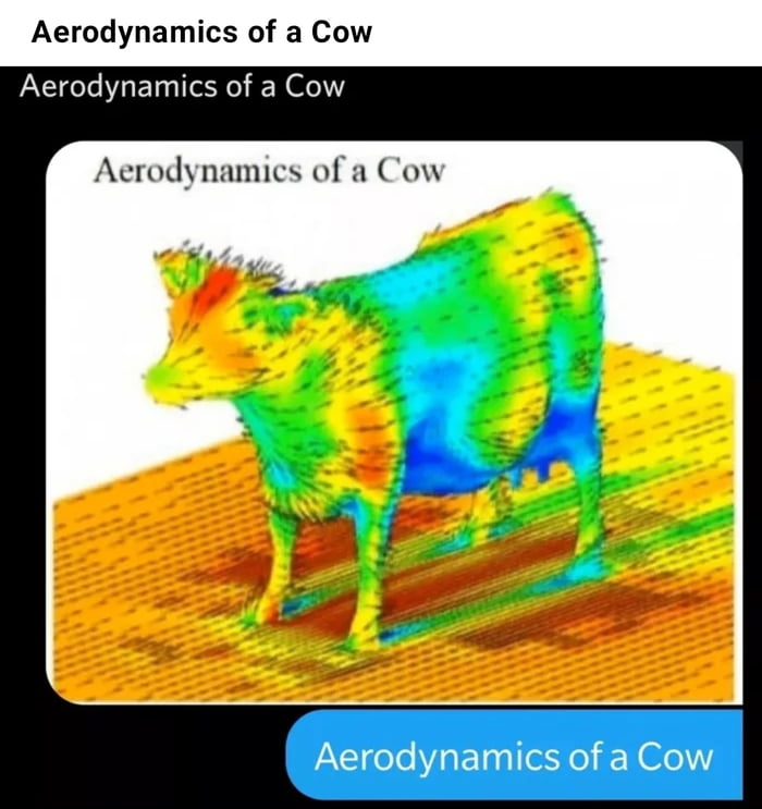 Aerodynamics of a cow - 9GAG