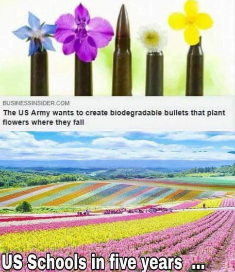 Biodegradable bullets that plant flowers where they fall - 9GAG